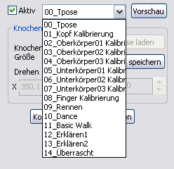 Feineinstellung der Pose des konvertierten Charakters