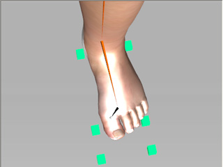 Setting the Floor Contact Planes for the Hands and Feet