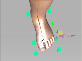 Setting the Floor Contact Planes for the Hands and Feet