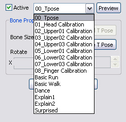Fine-Tuning the Pose of the Converted Character