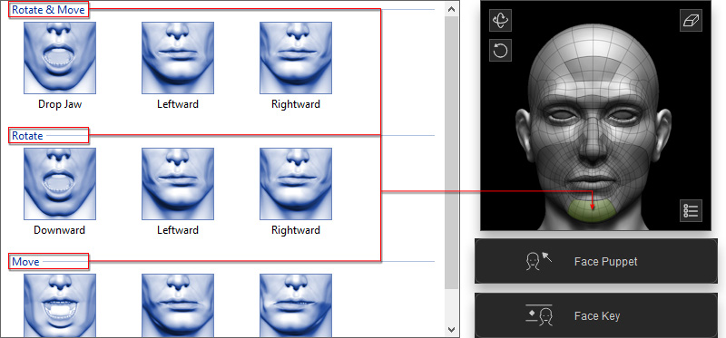 Setting Jaw Movement Data