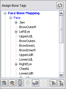 Mapping Facial Bones