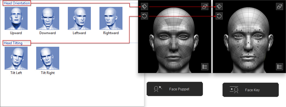 Setting Head Movement Data