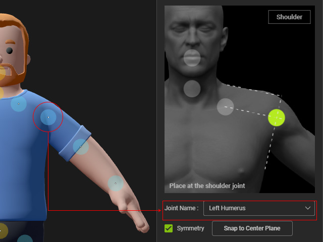 Rig Body Step
