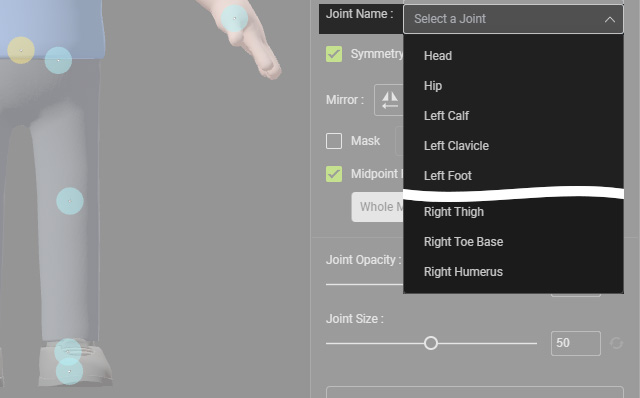 Rig Body Step