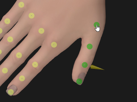 Hand Rig Step