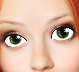 Eye Shadow