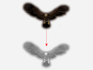 Customizing Render Styles for Bitmap-based Body Parts