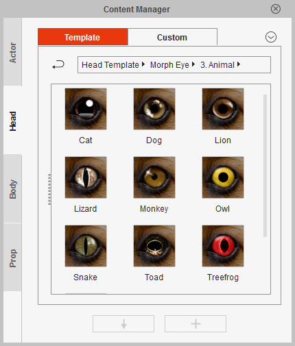 Eye Template Gallery