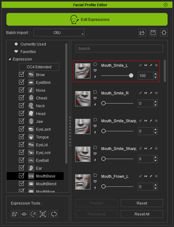 Adjusting Expressions for Standard Characters with Batch-Importing