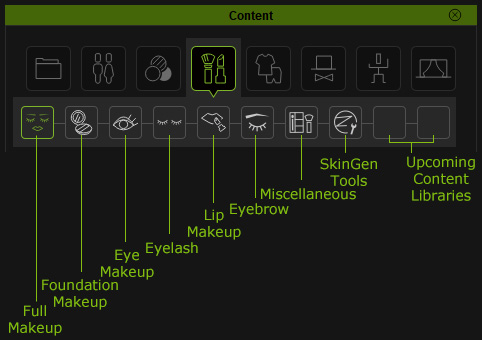 Libraries in Content Manager