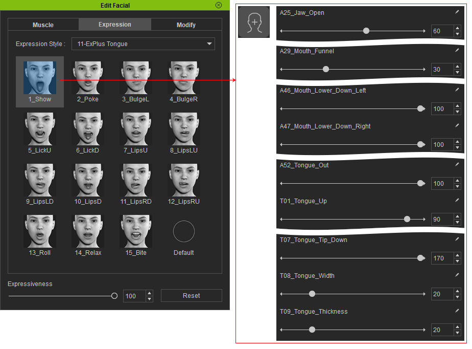 The Settings Relations in Muscle, Expression and Modify Tabs