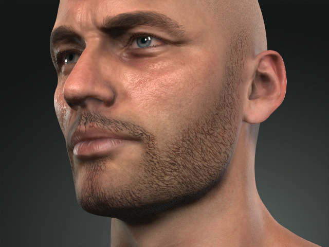 Using Body Hair Templates