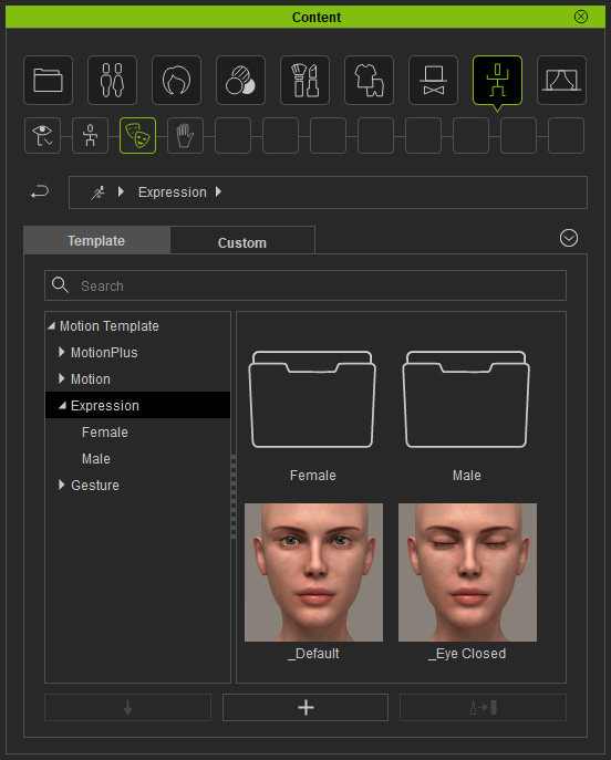 Applying Facial Expression Templates