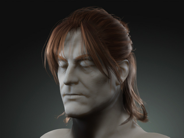 Applying Smart Hair Template