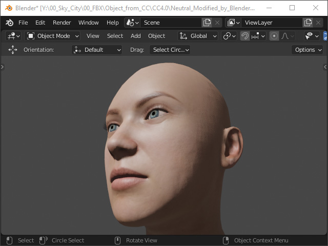 Adjusting Expressions for Standard Characters with Batch-Importing