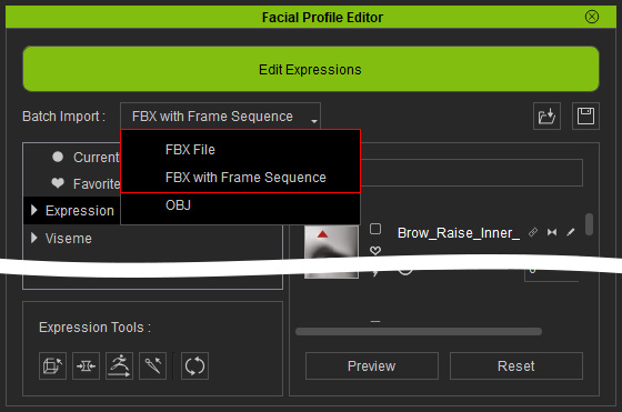 Adjusting Expressions for Standard Characters with Batch-Importing