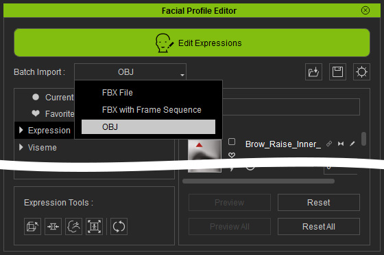 Adjusting Expressions for Standard Characters with Batch-Importing