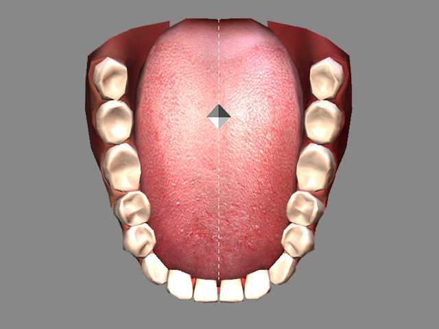 Optimal Teeth Bone Position