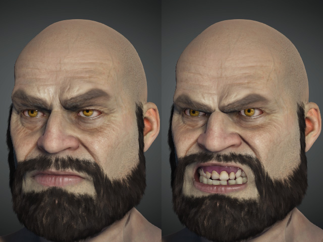 Importing DAZ Studio Facial Hair through Transformer