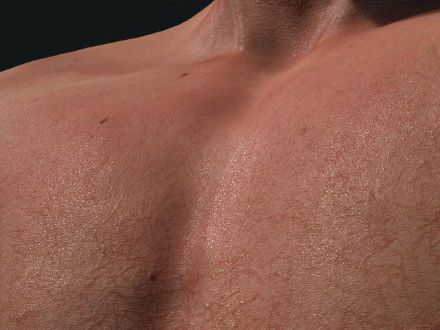 Micro Normal Related Textures