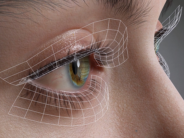 Legacy and New Eyelashes