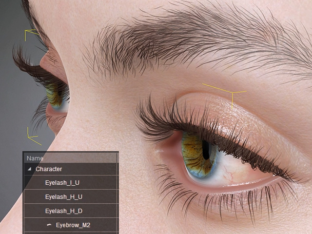Legacy and New Eyelashes