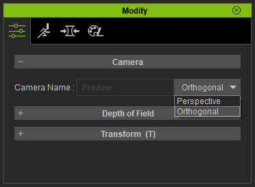Using Orthogonal Camera View