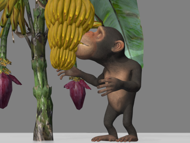 Setting Collision Shapes for Characters