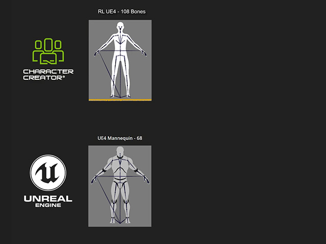 Skeleton Structures Relations between CC and UE Characters