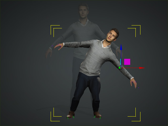 Using the Edit Pose Panel