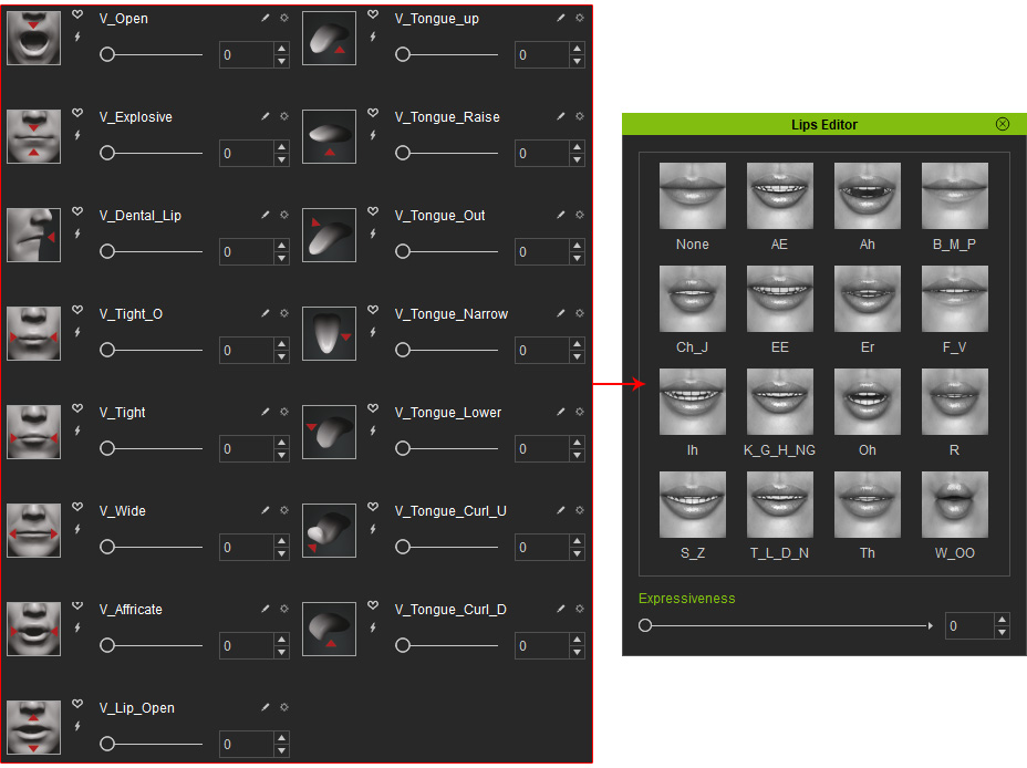 The Mapping Between Facial Profile Editor and Viseme Panel