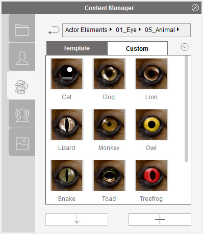 Eye Template Gallery