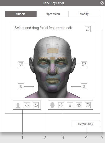 Introducing the Face Key Editor