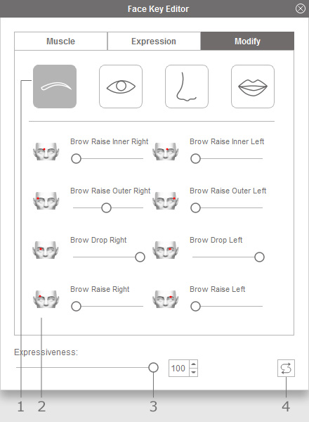 Introducing the Face Key Editor