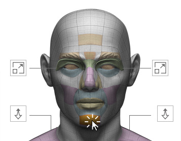 Setting the Facial Keys
