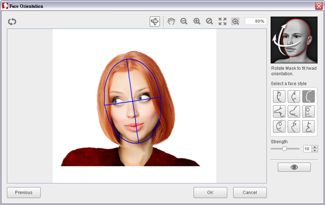 Specifying Face Orientation and Style