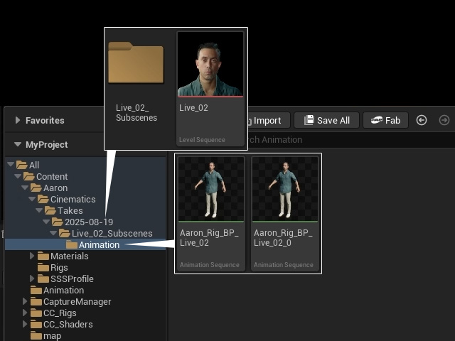 Webcam Live Streaming Performance for CC Characters