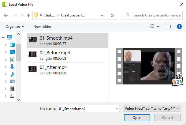 Video Formats and Settings