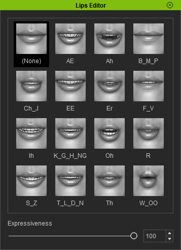 Auto Lip Options for Viseme