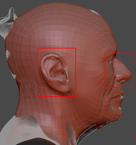 Base Mesh Projection Workflow