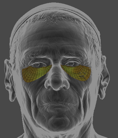 Base Mesh Projection Workflow