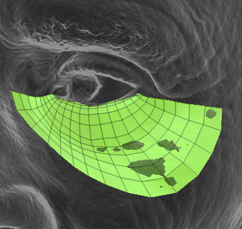 Base Mesh Projection Workflow