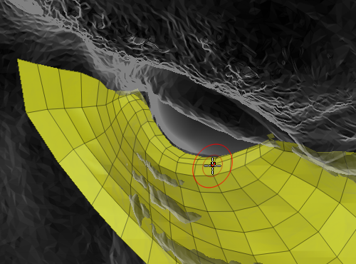 Base Mesh Projection Workflow