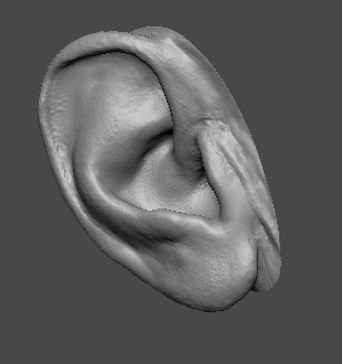 Base Mesh Projection Workflow