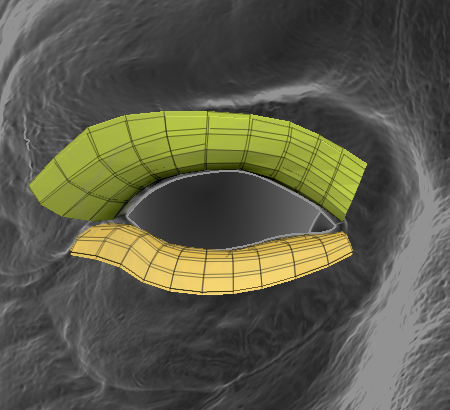 Base Mesh Projection Workflow