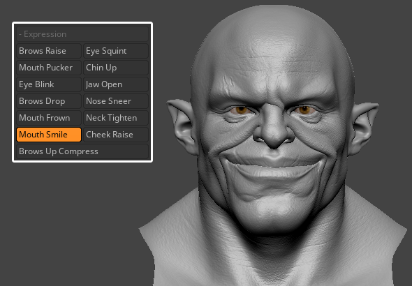 Facial Expression Guidelines for ZBrush