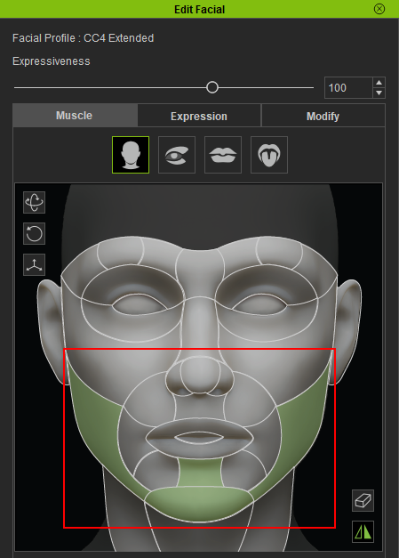 Facial Expression Editing Workflow