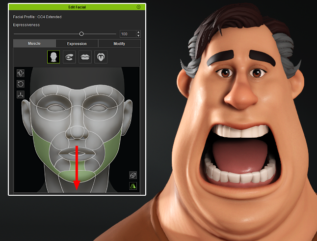 Facial Expression Editing Workflow