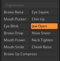 Facial Expression Editing Workflow